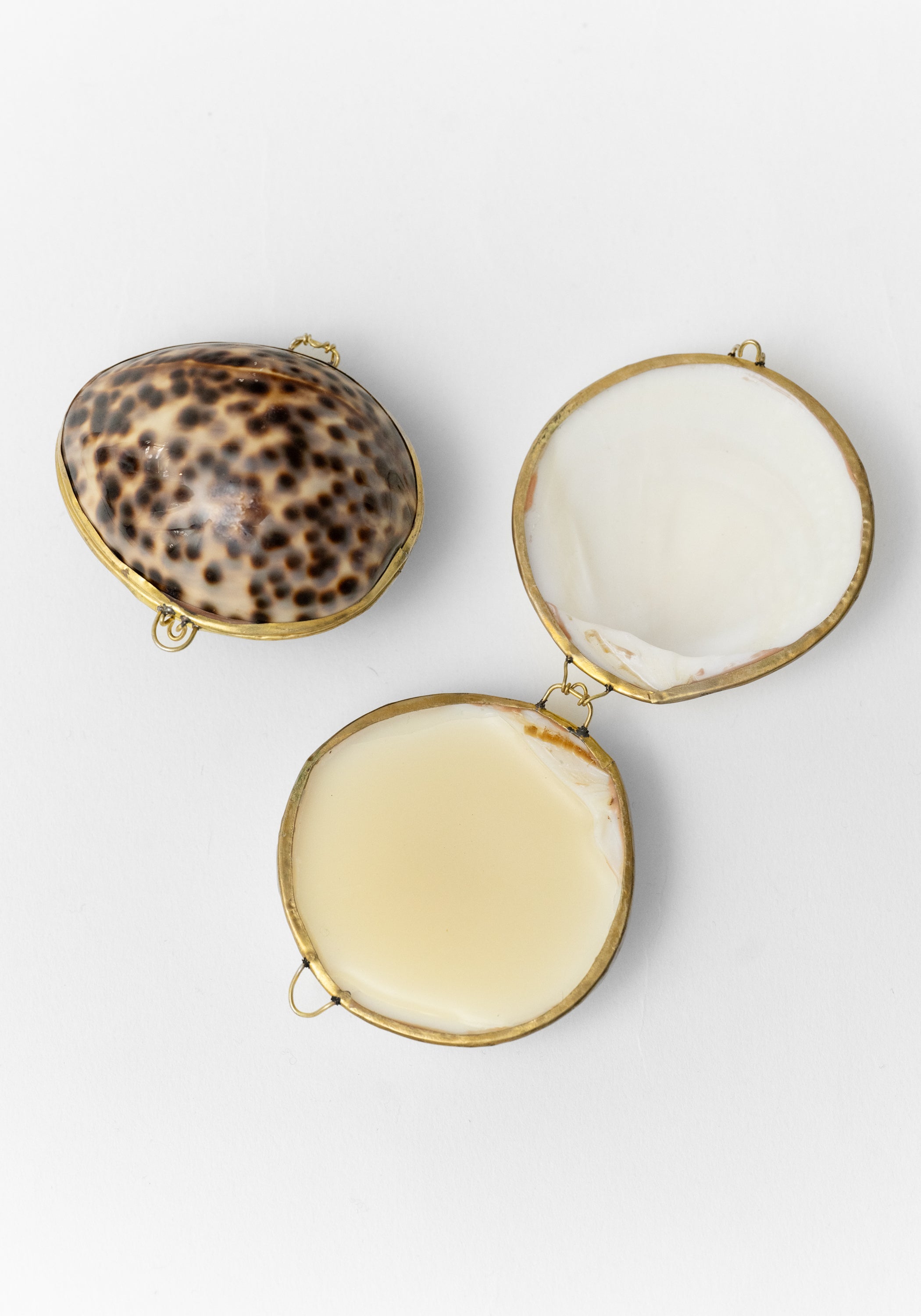 Shell Encased Lip Balm | Earth tu Face – December Thieves